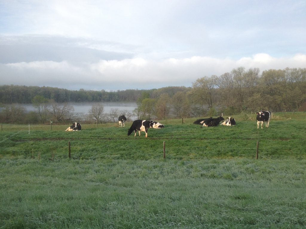Pasture Management